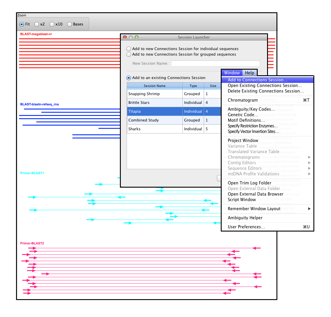 Connections Dna Sequencing Software Sequencher From Gene Codes